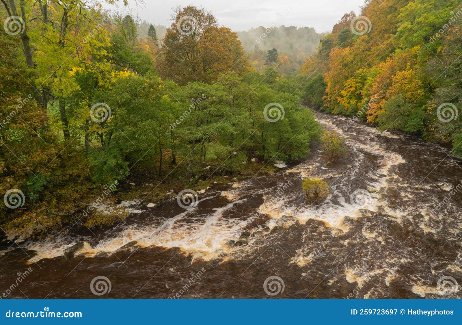 River Allen in Northumberland in Autumn Stock Image - Image of flow ...