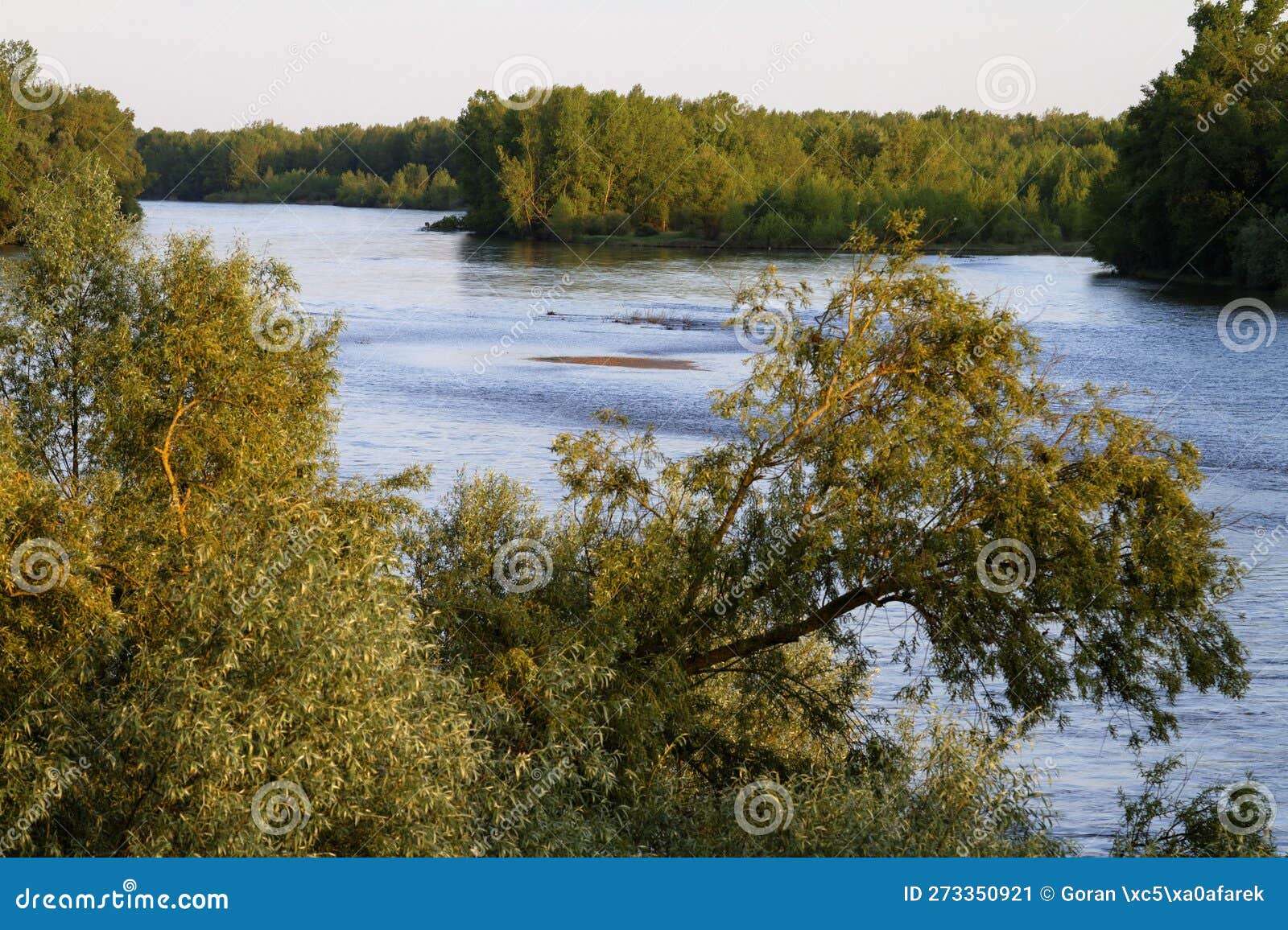 The river Allier stock image. Image of travel, serene - 273350921