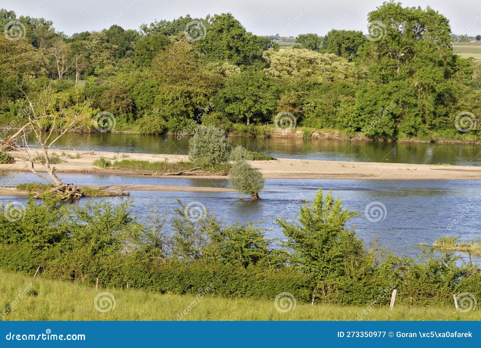 The river Allier stock image. Image of grass, gravel - 273350977