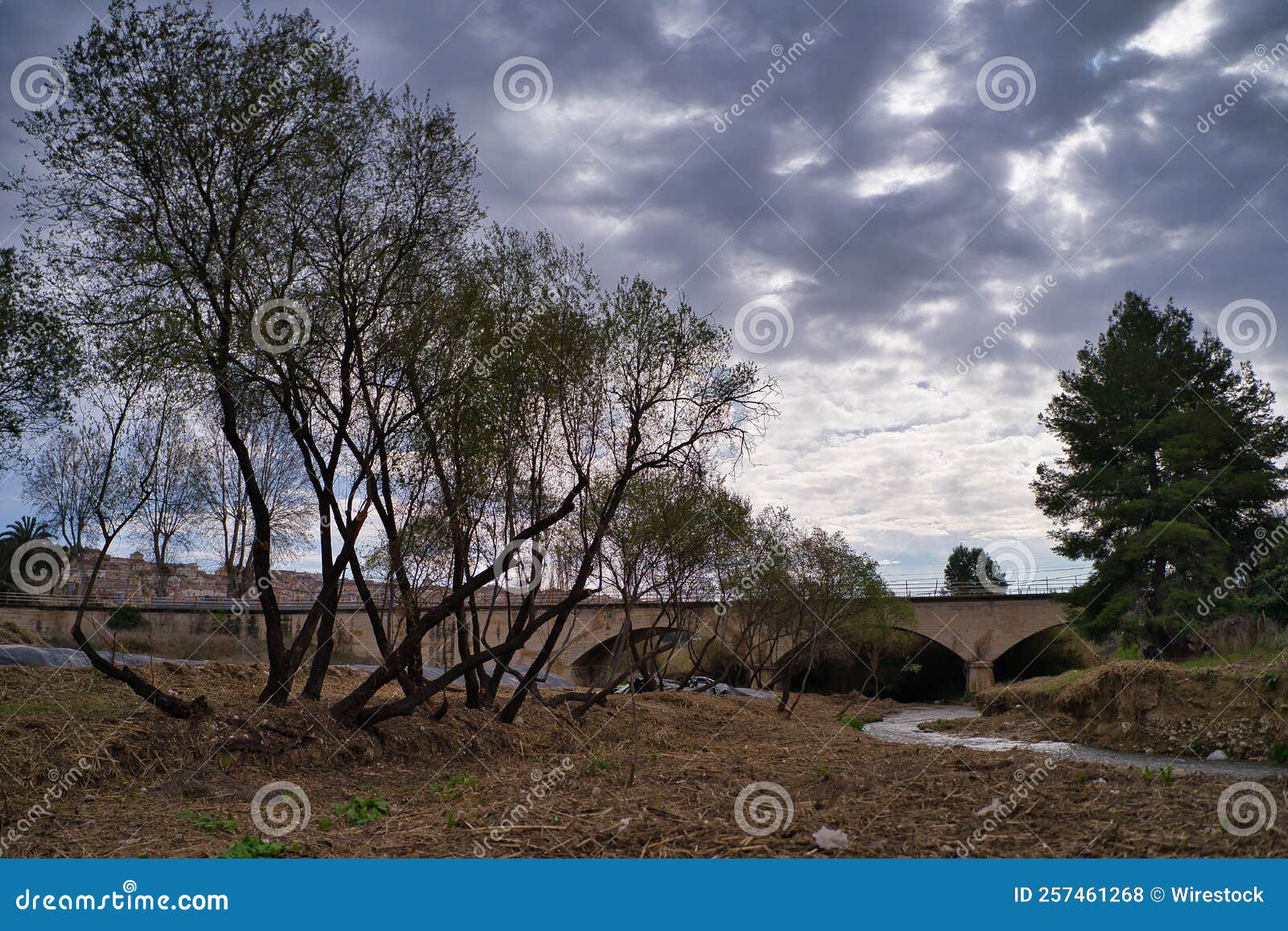 River Argos and Trees Bent Towards it with a Stone Bridge in the ...