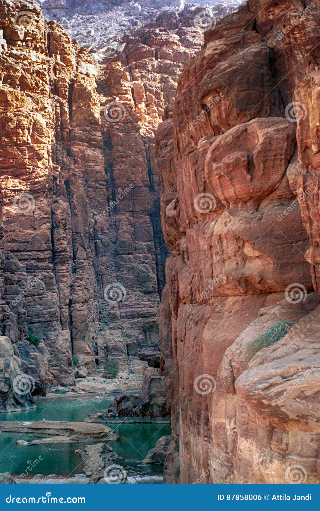 River Arnon, Wadi Musa, Jordan Stock Photo - Image of ecology ...