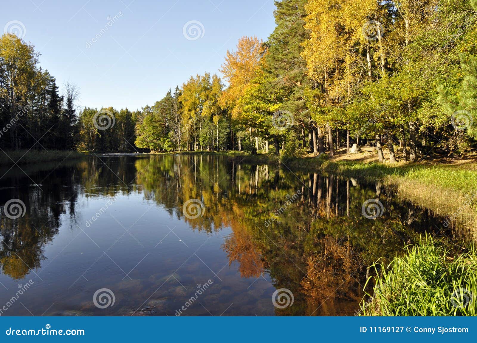 River in autumn stock image. Image of beautiful, fall - 11169127