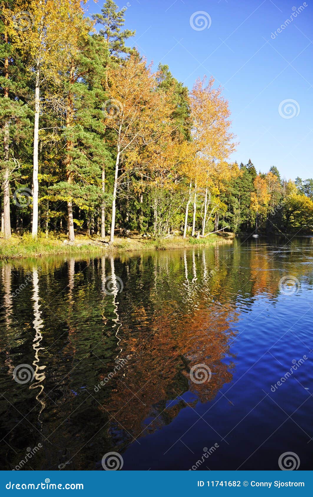 River in autumn stock photo. Image of forest, fall, lake - 11741682
