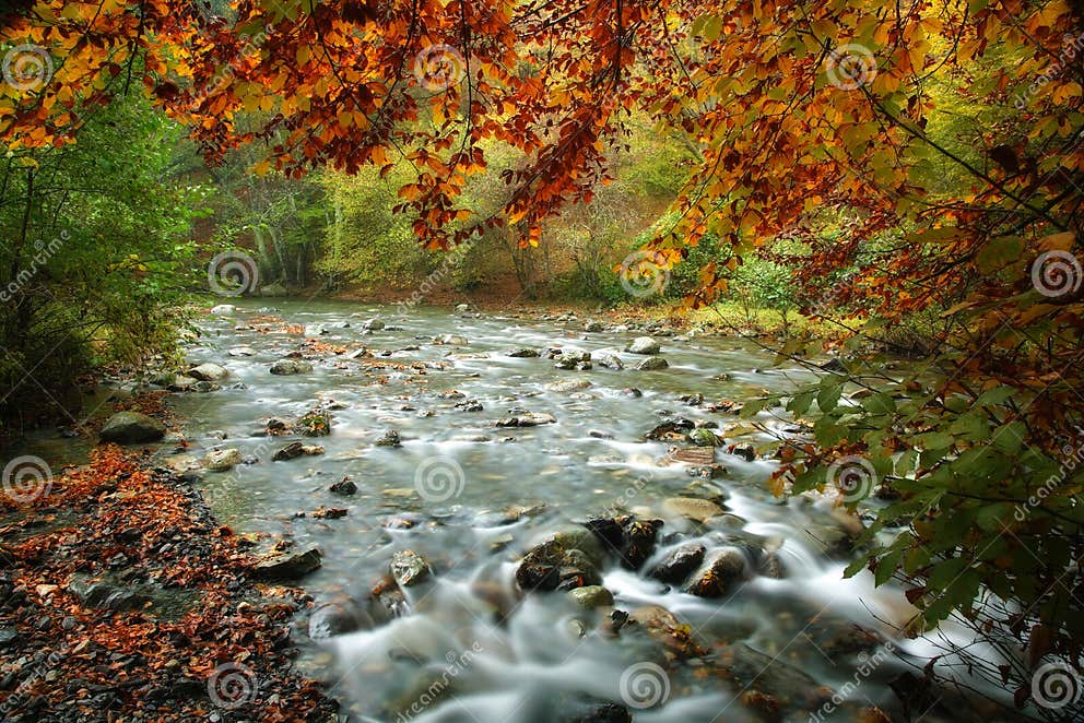 River in autumn stock photo. Image of nature, national - 23624284
