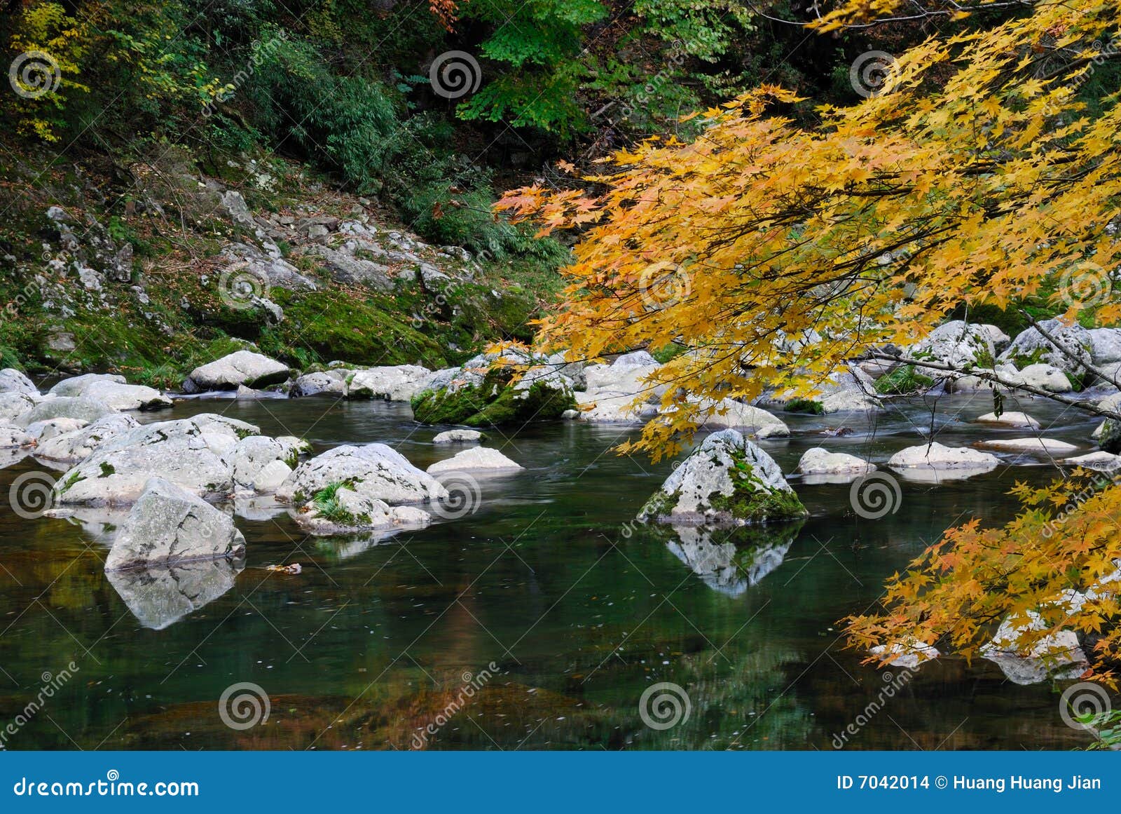 River in autumn forest stock photo. Image of beauty, foliage - 7042014