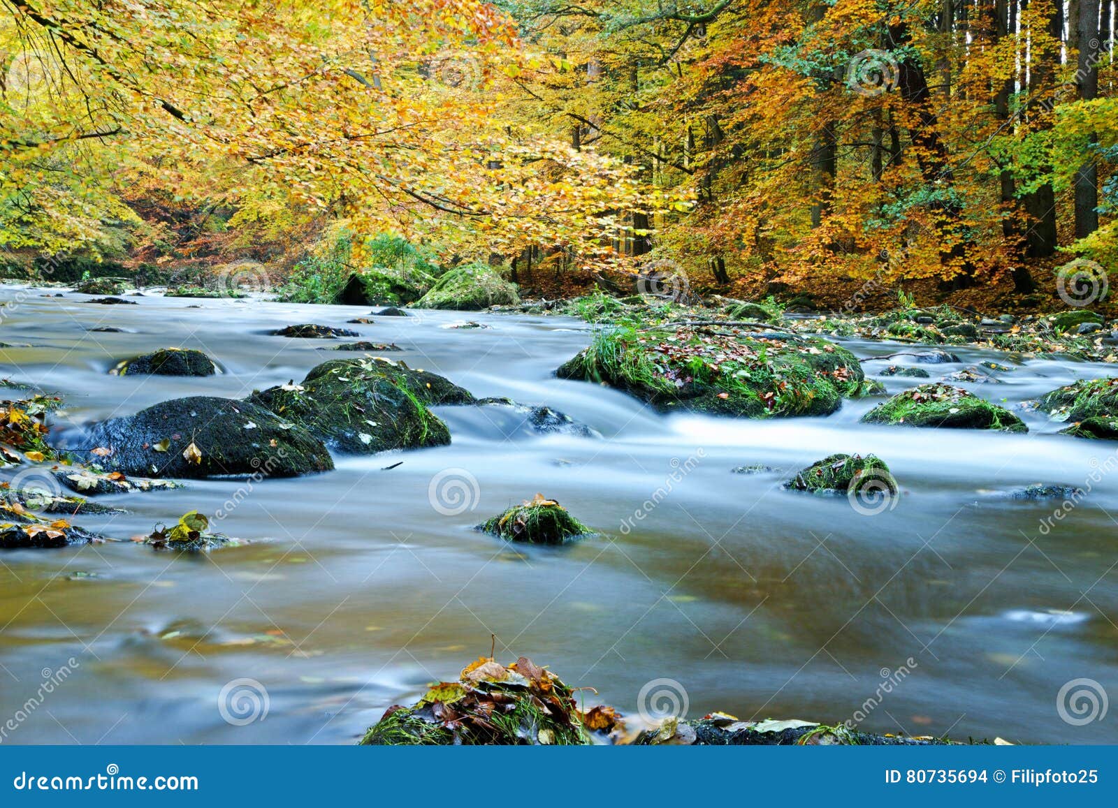 River in autumn stock photo. Image of motion, color, list - 80735694