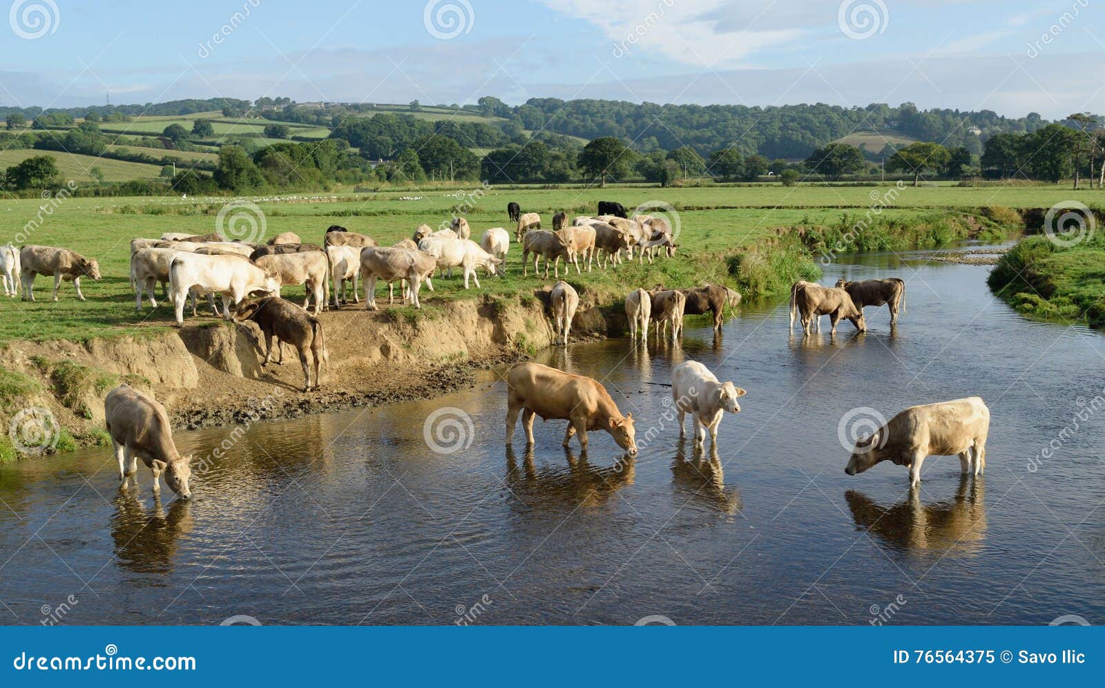River Axe stock image. Image of agriculture, farming - 76564375