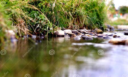 River bank stock image. Image of rocks, life, yellow, small - 1252485