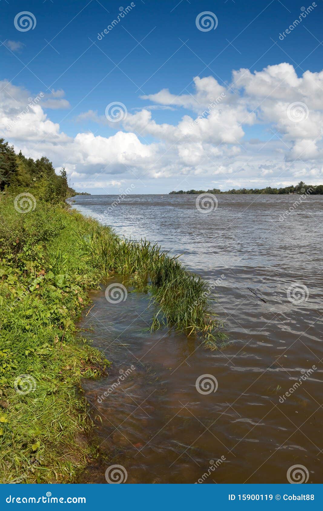 River bank stock image. Image of leaves, clouds, reflection - 15900119