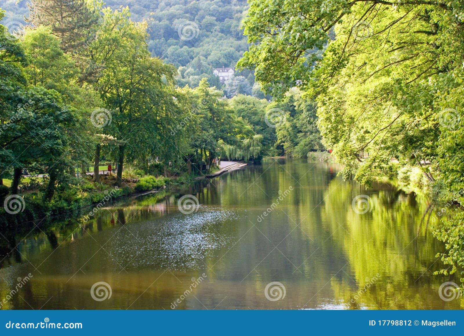 River bank stock photo. Image of lakes, summer, england - 17798812