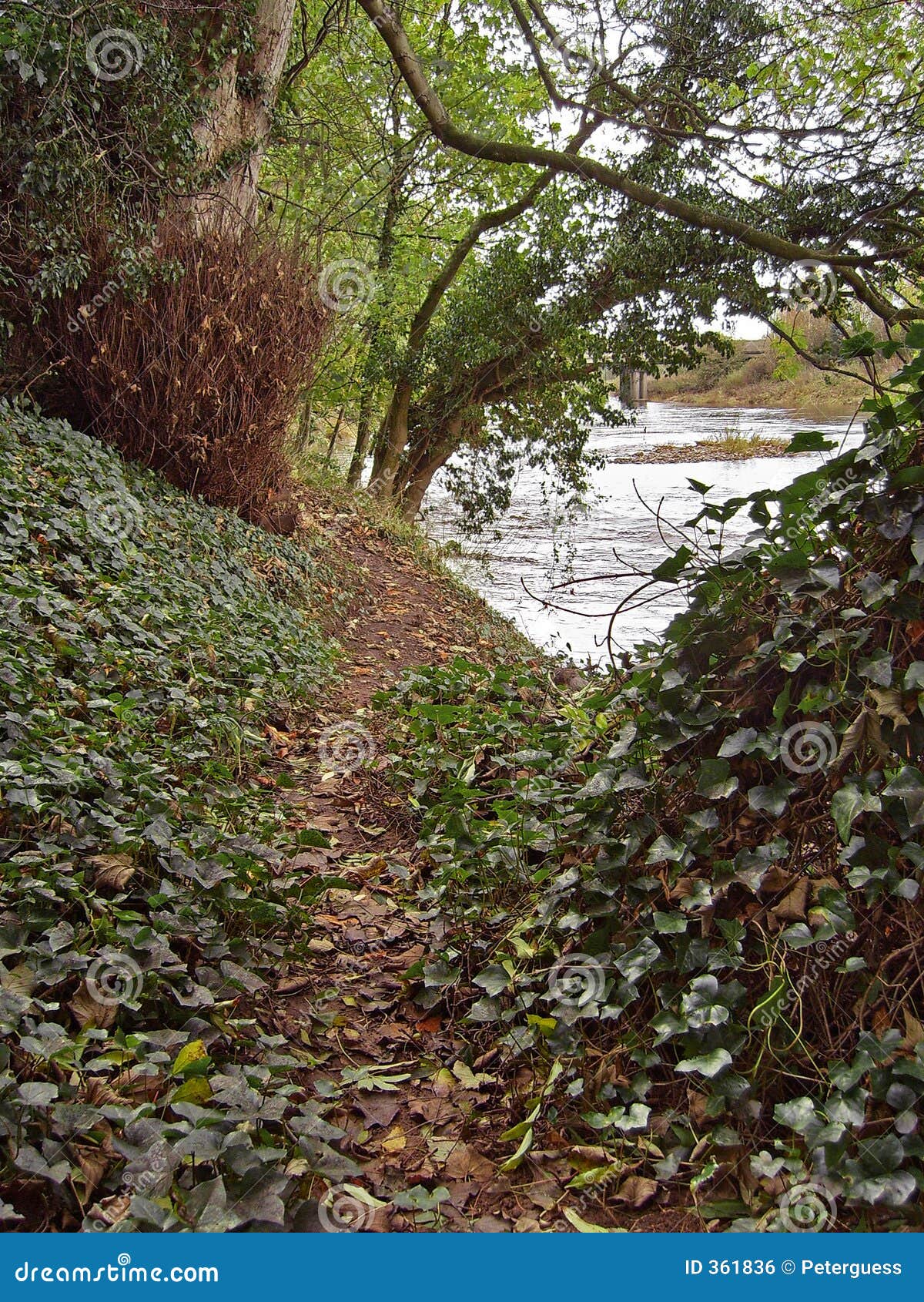 River Bank stock photo. Image of path, bushes, water, bank - 361836