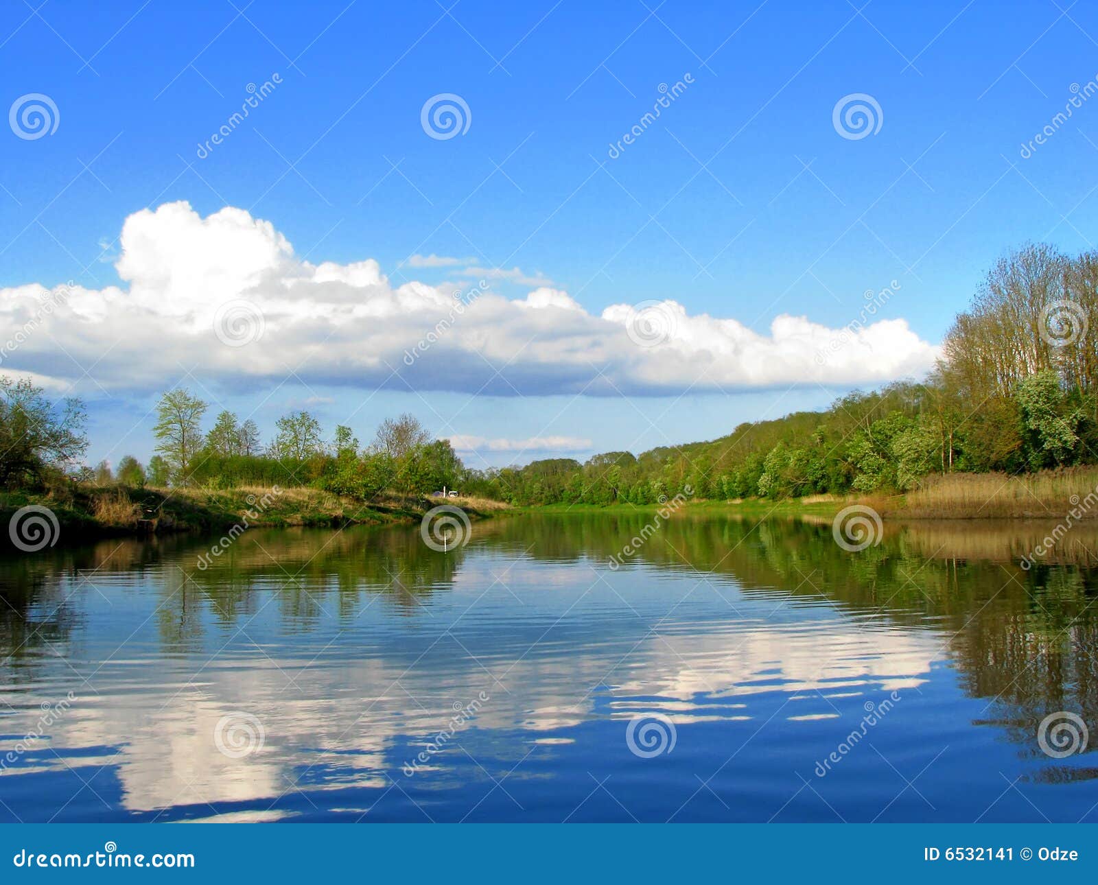 River bank stock image. Image of nature, flower, river - 6532141