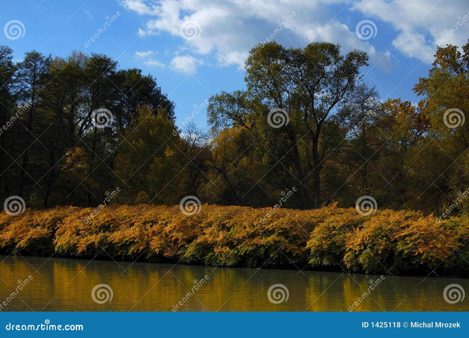 River bank in autumn stock photo. Image of fall, colors - 1425118