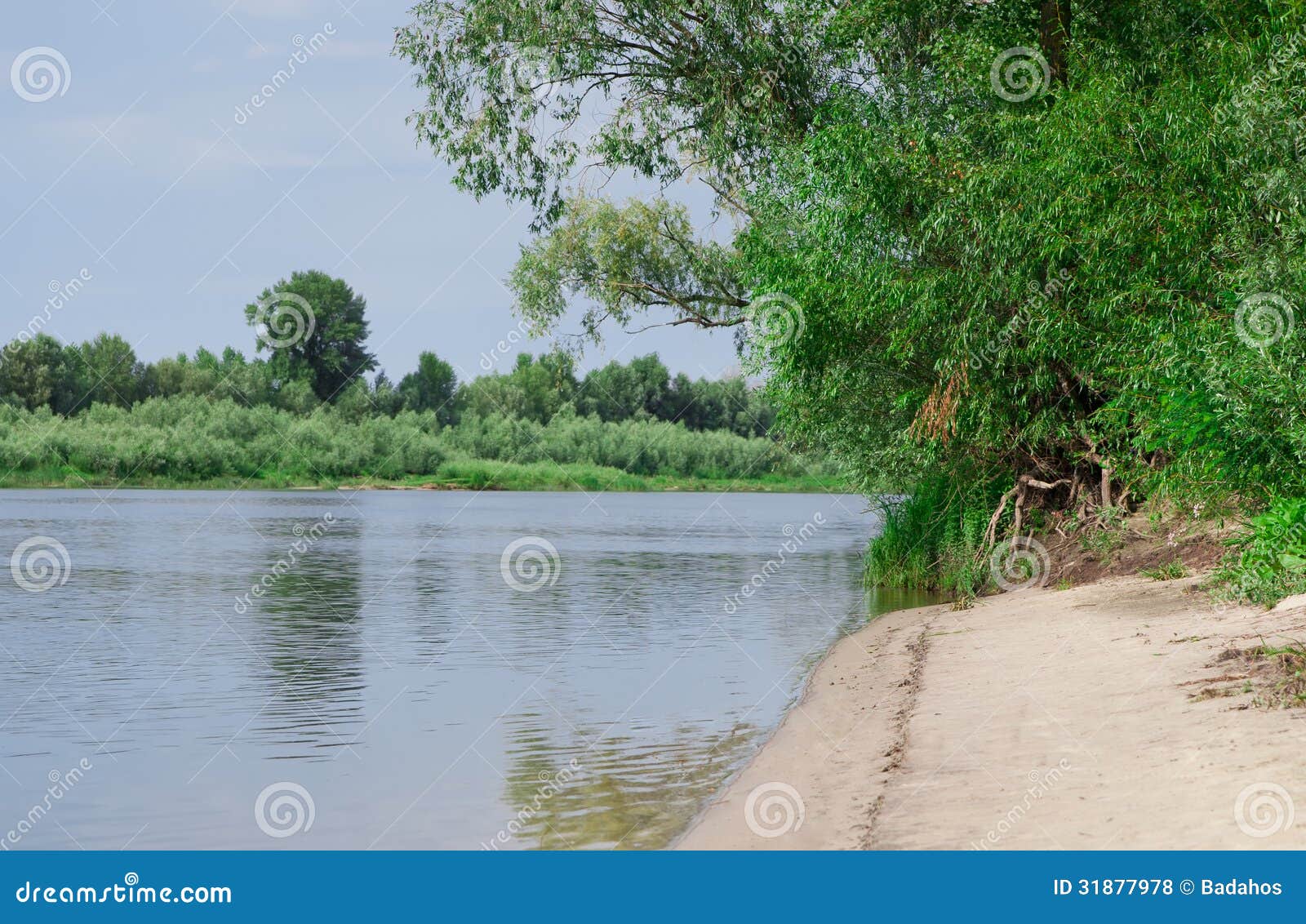 River stock photo. Image of nature, tree, nautical, tourism - 31877978