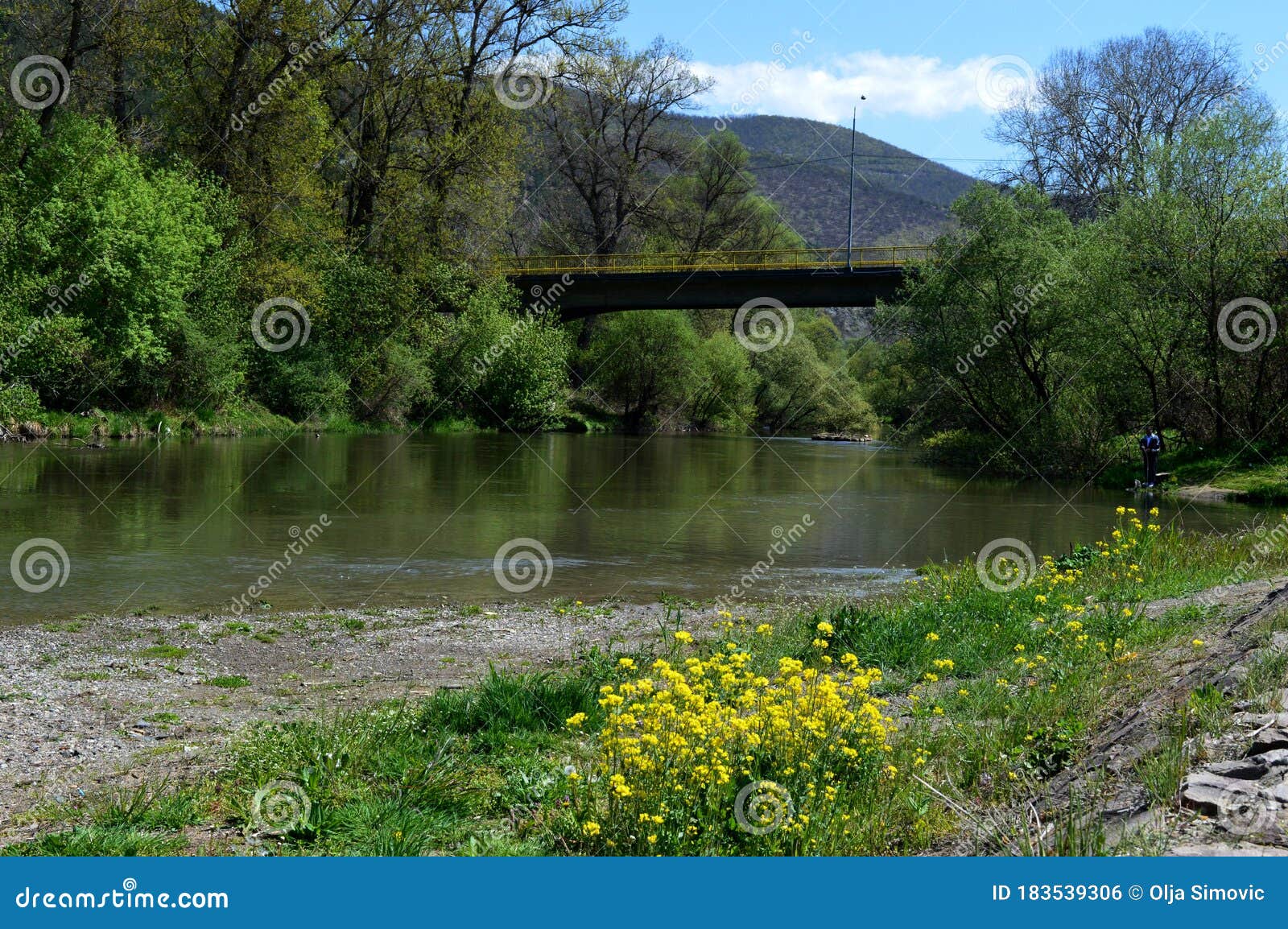River Bank and the Bridge in the Spring Stock Photo - Image of bank ...