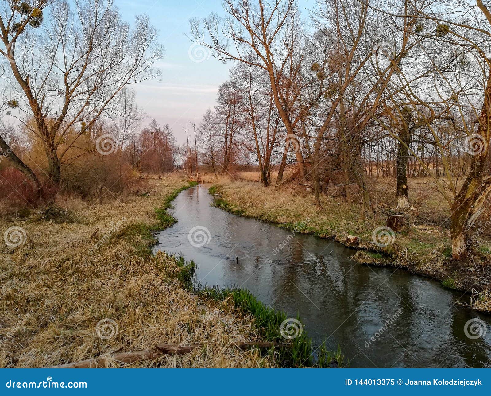 River bank stock image. Image of spring, river, grass - 144013375