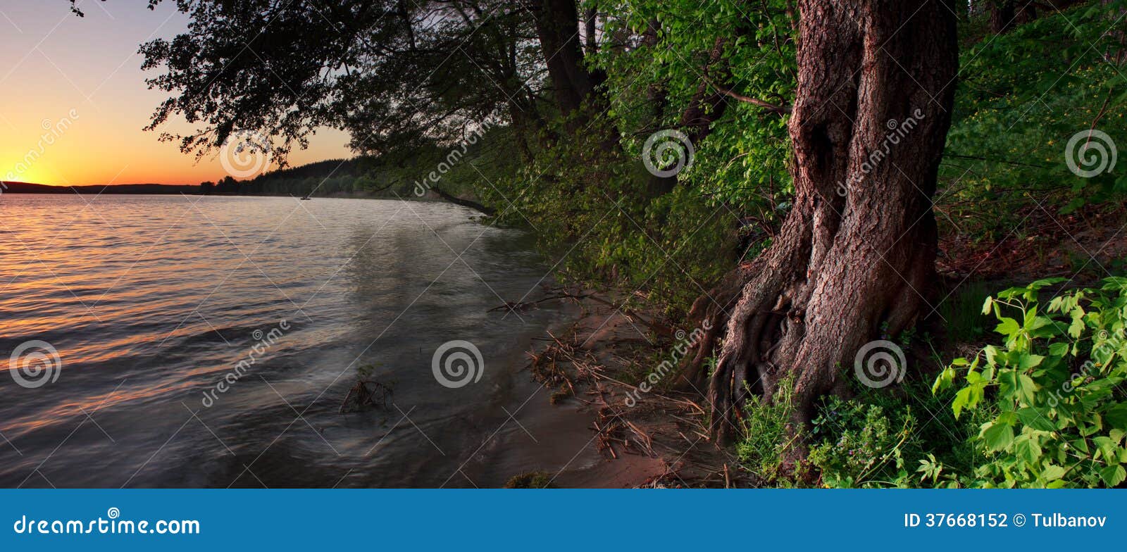River Bank stock photo. Image of sunset, light, forest - 37668152