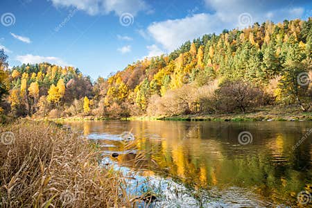 River bank in fall stock photo. Image of colors, shoreline - 61274002
