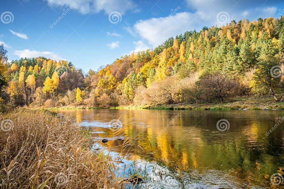 River bank in fall stock photo. Image of colors, shoreline - 61274002