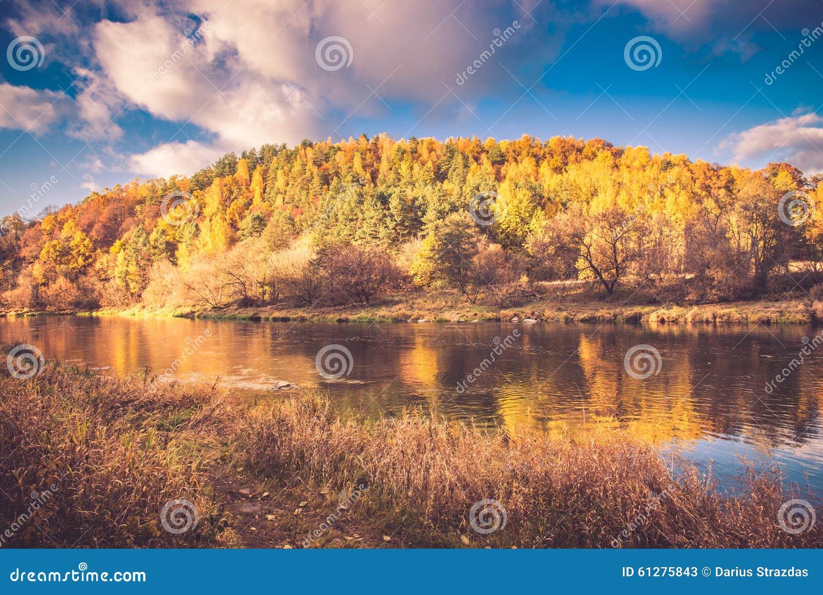 River bank in fall stock image. Image of shoreline, reflects - 61275843