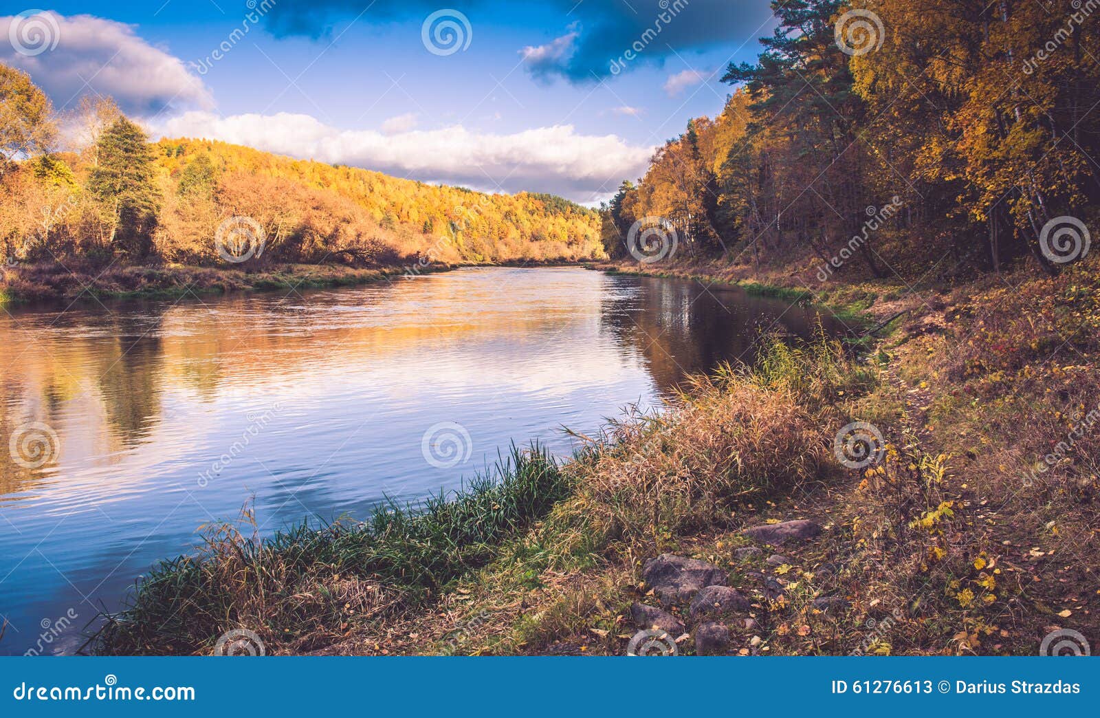 River bank in fall stock image. Image of nature, beauty - 61276613