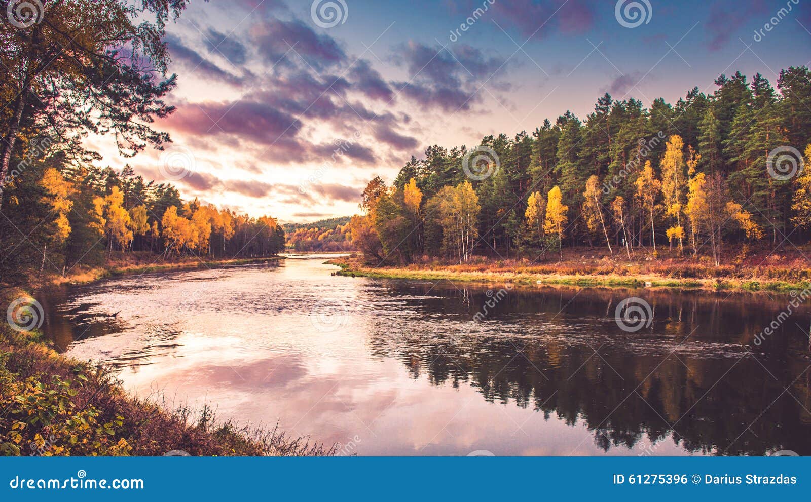 River bank in fall stock photo. Image of reflects, scenic - 61275396