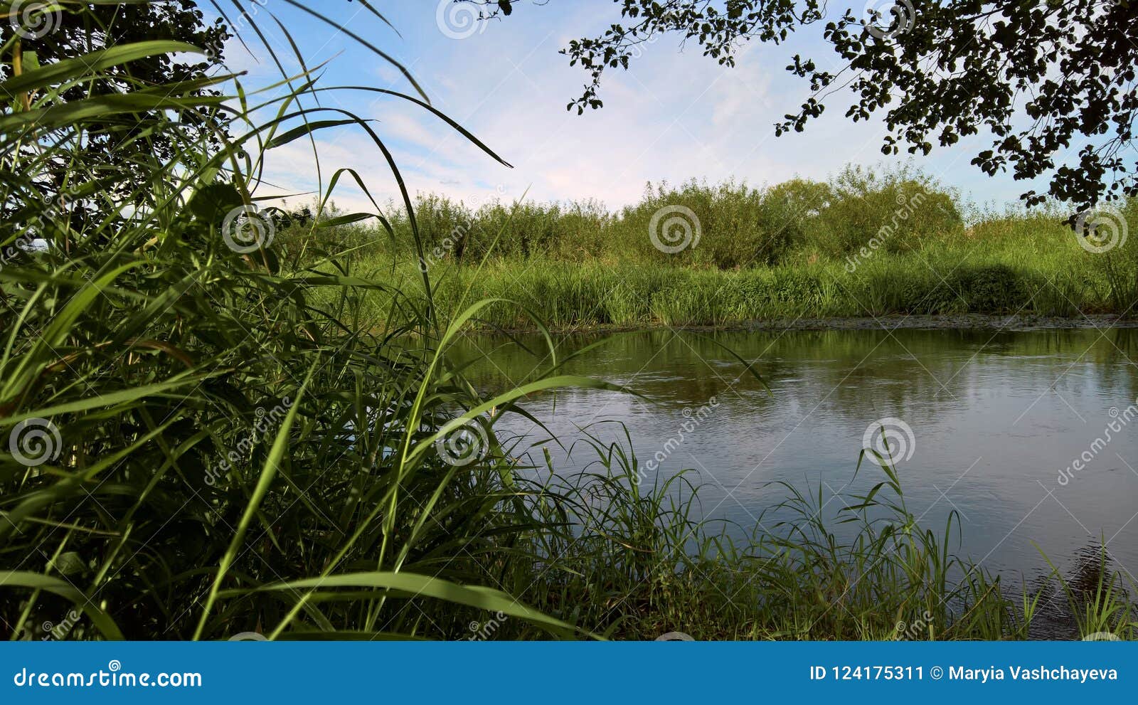 River Bank in a Green Grass Stock Illustration - Illustration of river ...