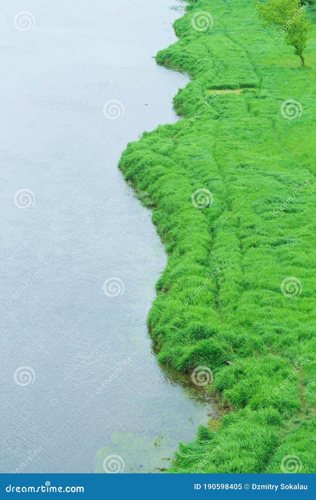 River Bank with Green Grass and Reed Top View.horizontal Orientation ...