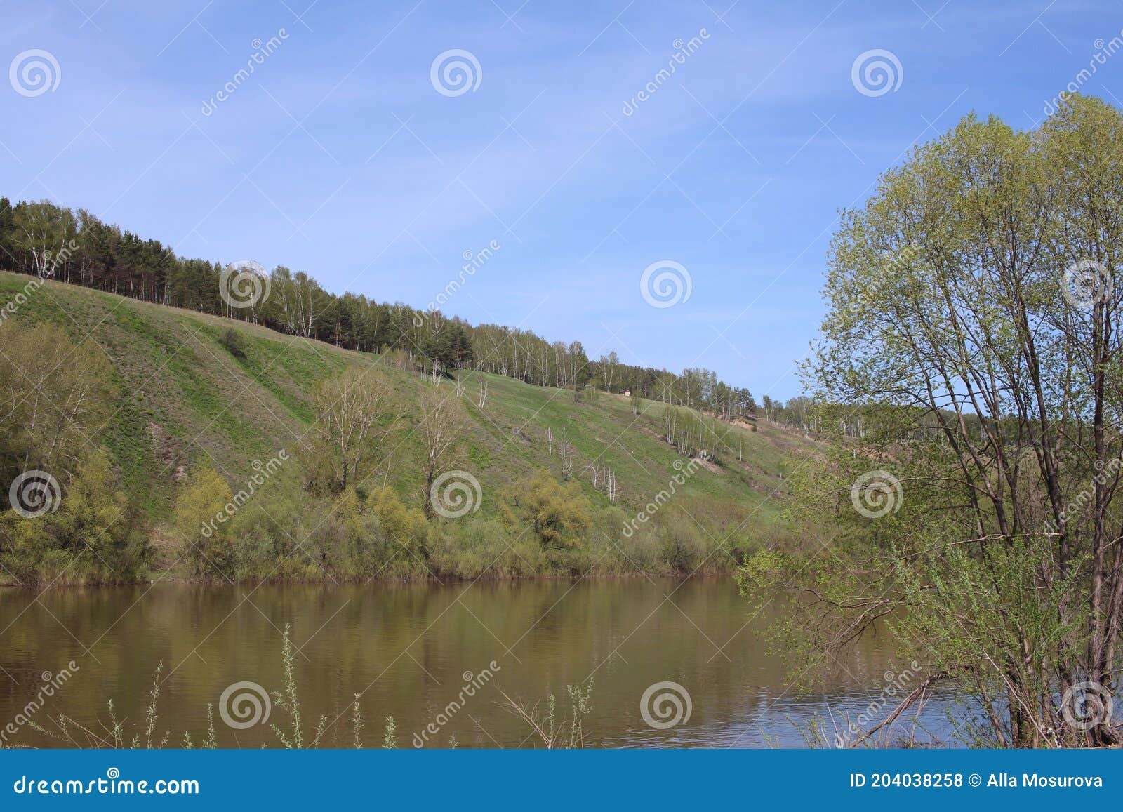 River Bank by the Lake with Green Grass and Forest on the Hill in ...