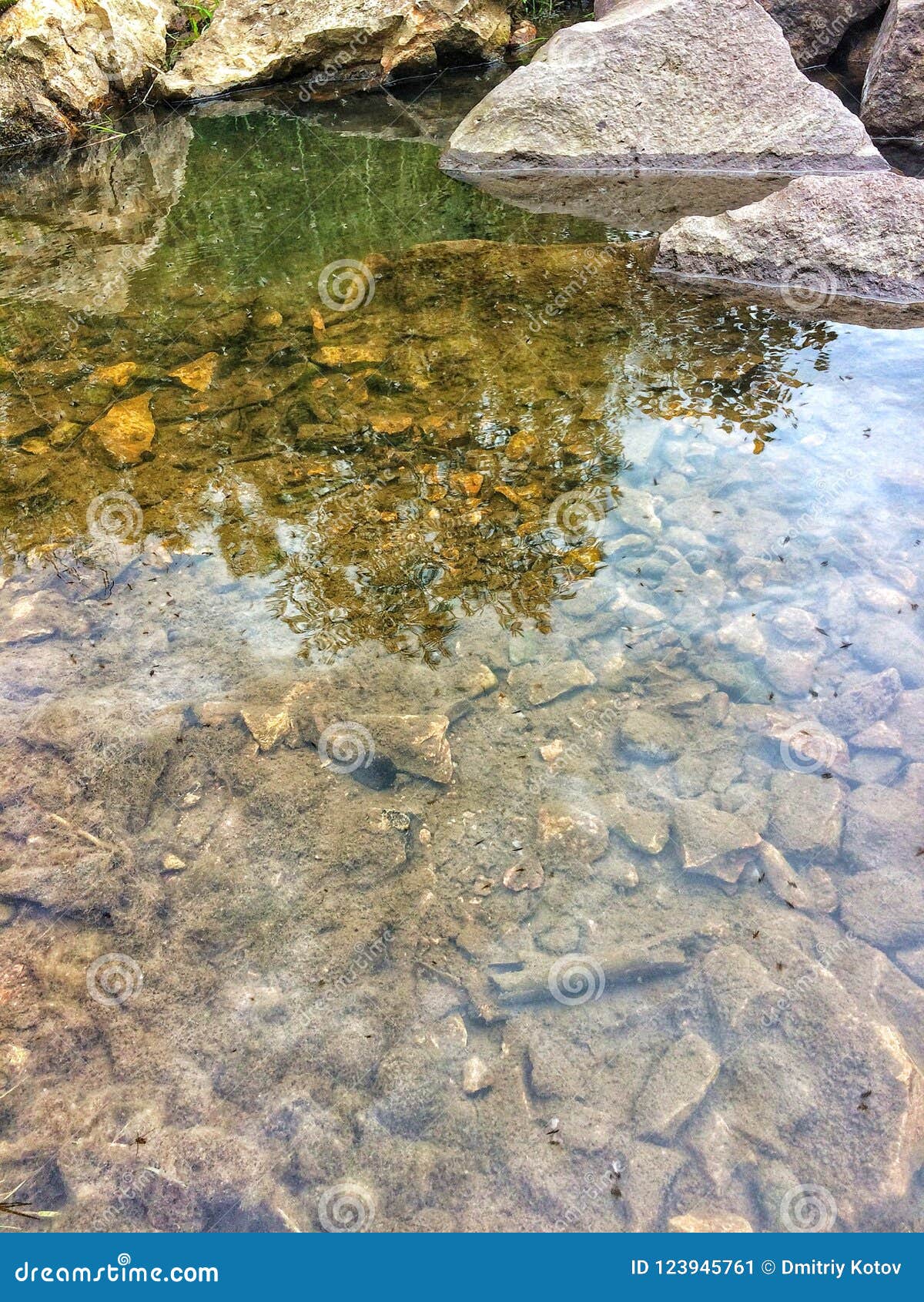 Forest stream reflections stock image. Image of bank - 123945761