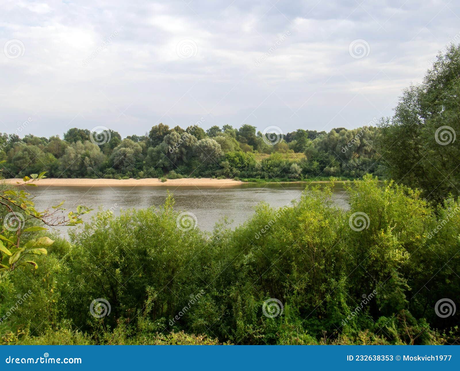 The River Bank is Overgrown with Forest Stock Image - Image of marshy ...
