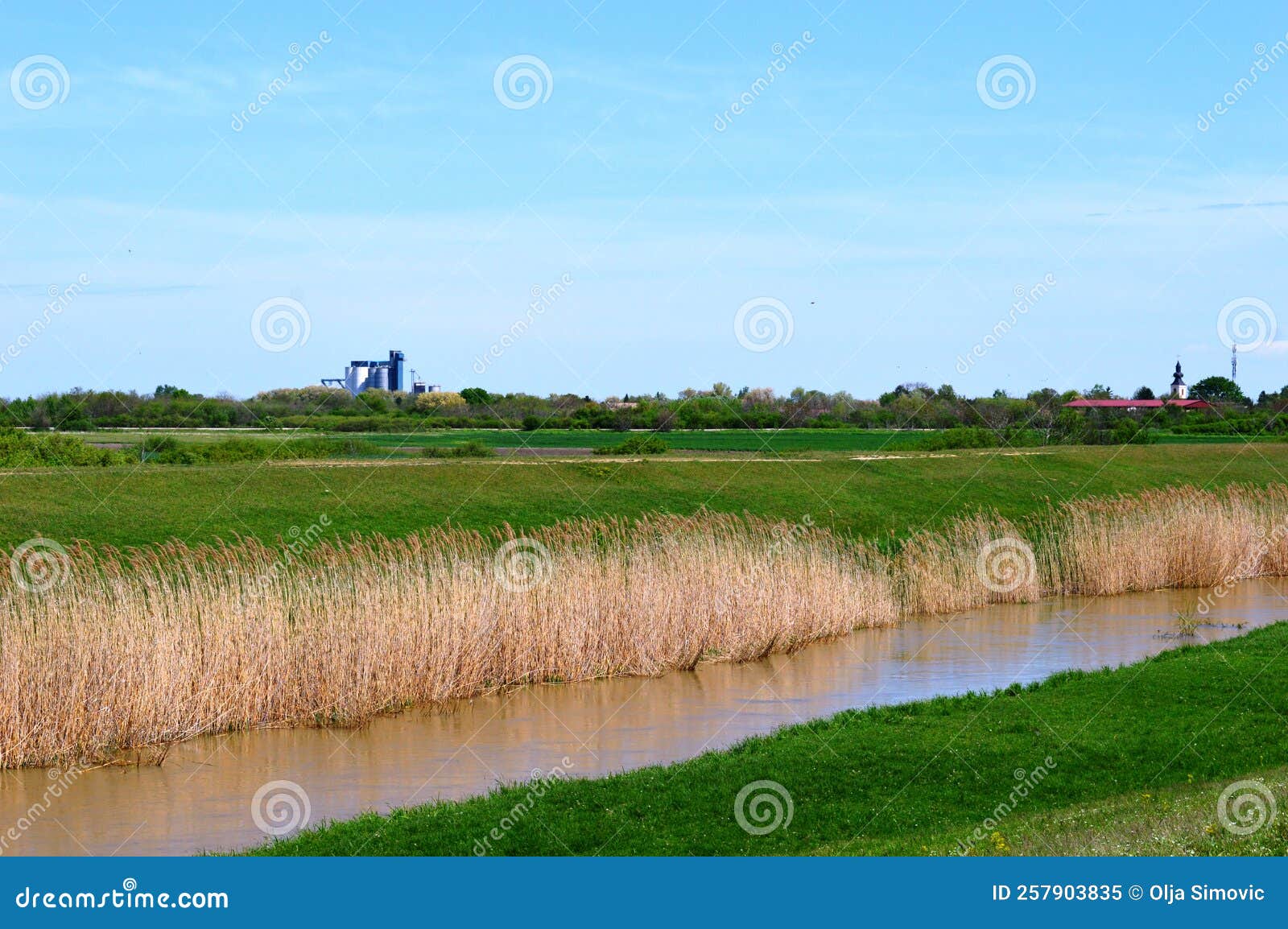 River bank in the plain stock image. Image of tree, plain - 257903835