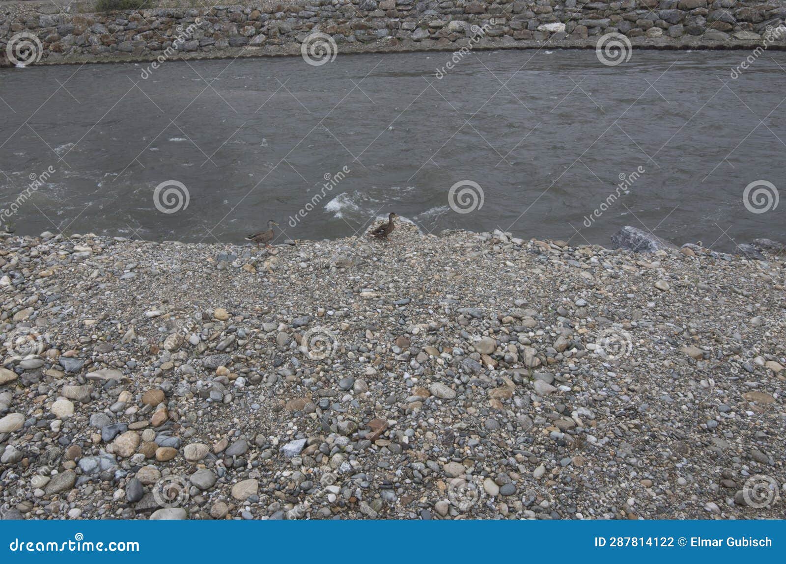 River Bank Protection and Dam Construction Stock Photo - Image of ...