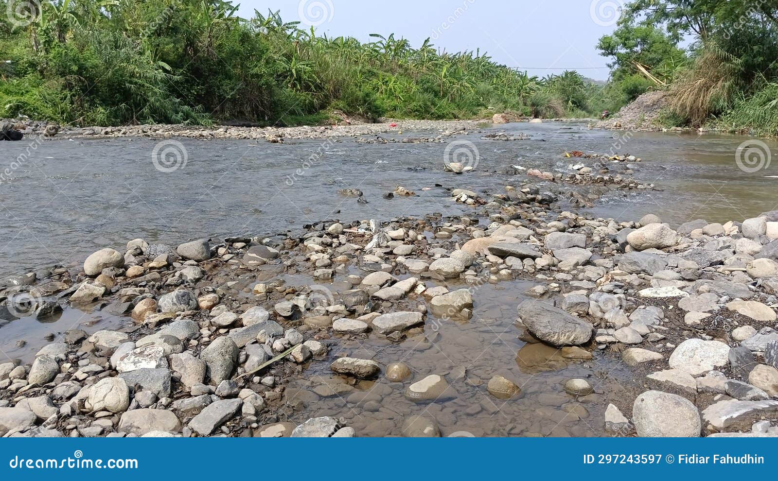 River Bank with Rocks and Green Trees Stock Image - Image of visualize ...