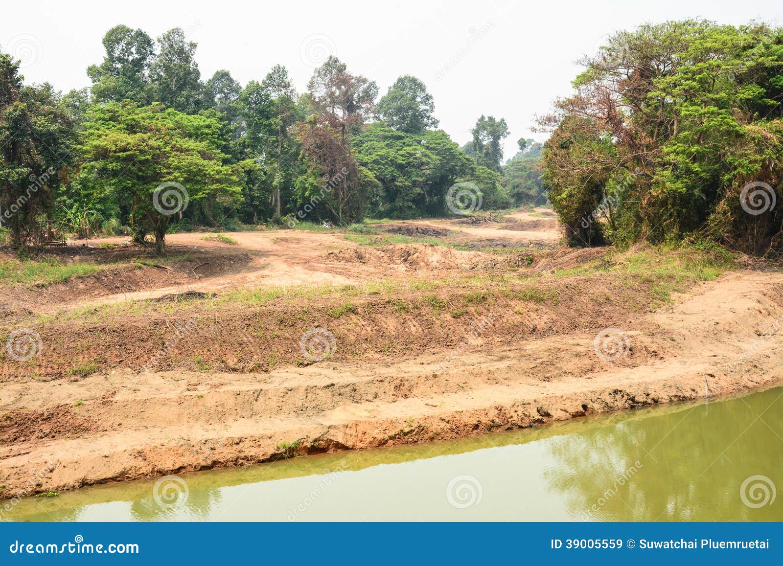 River Bank Soil with Forest Stock Image - Image of flow, farmland: 39005559