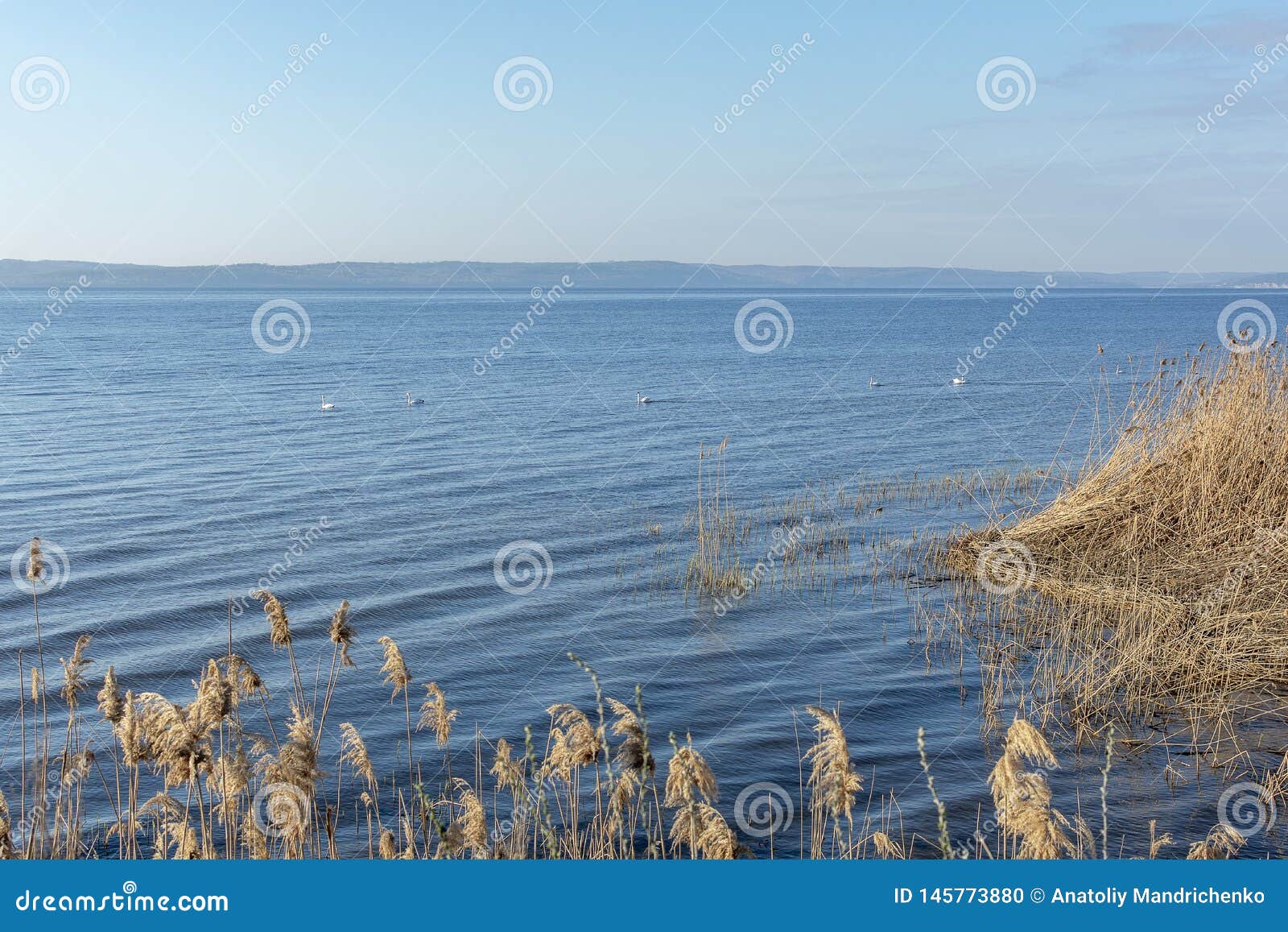 View of the Wide River from the Shore Stock Photo - Image of river ...