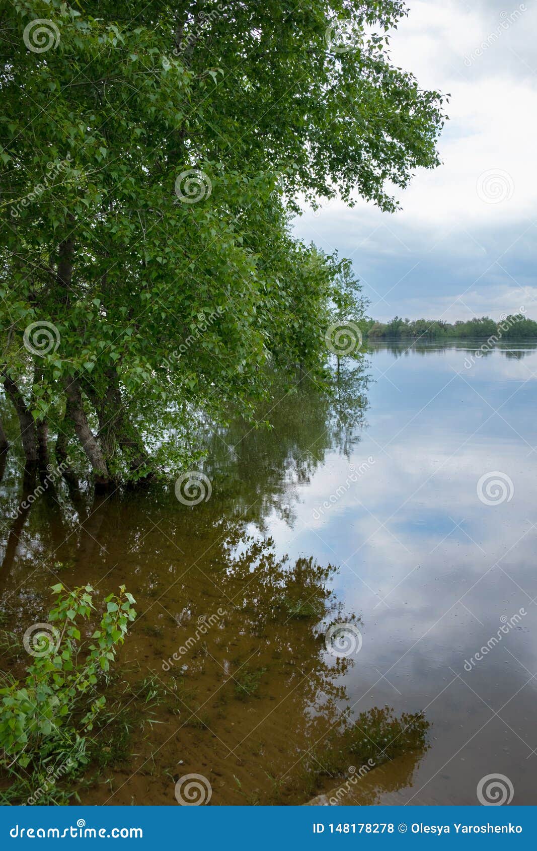 River Bank during the Spring Flood Stock Photo - Image of overflow ...