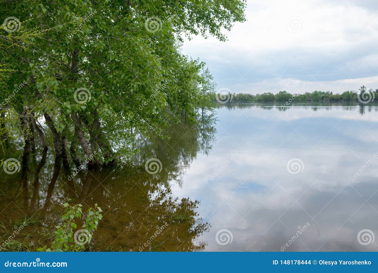 River Bank during the Spring Flood Stock Photo - Image of overflow ...