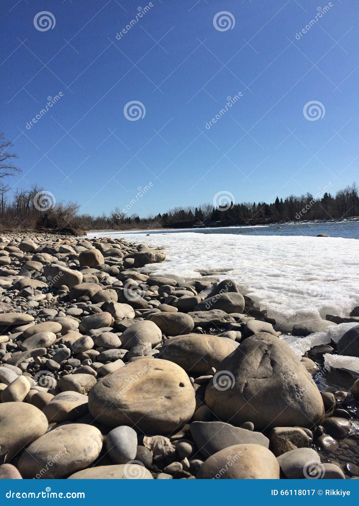 River bank stock image. Image of riverbank, tree, river - 66118017