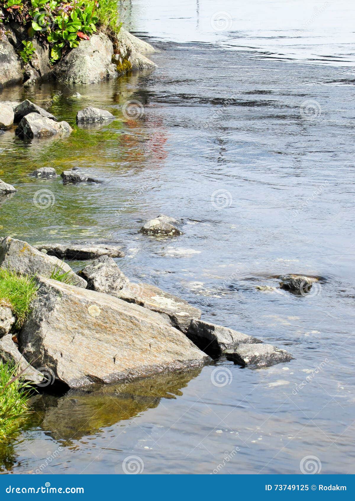 River Bank with stones stock image. Image of shore, beach - 73749125