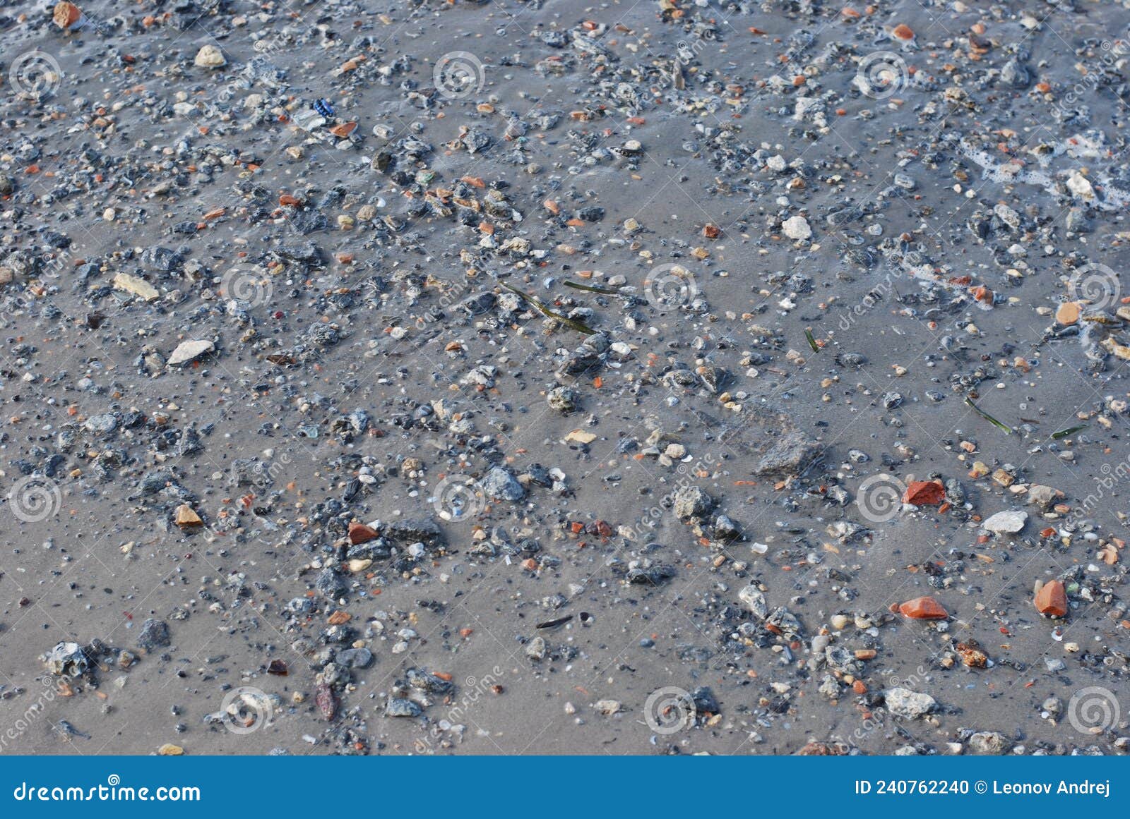 River bank, stones, shells stock photo. Image of mudflat - 240762240