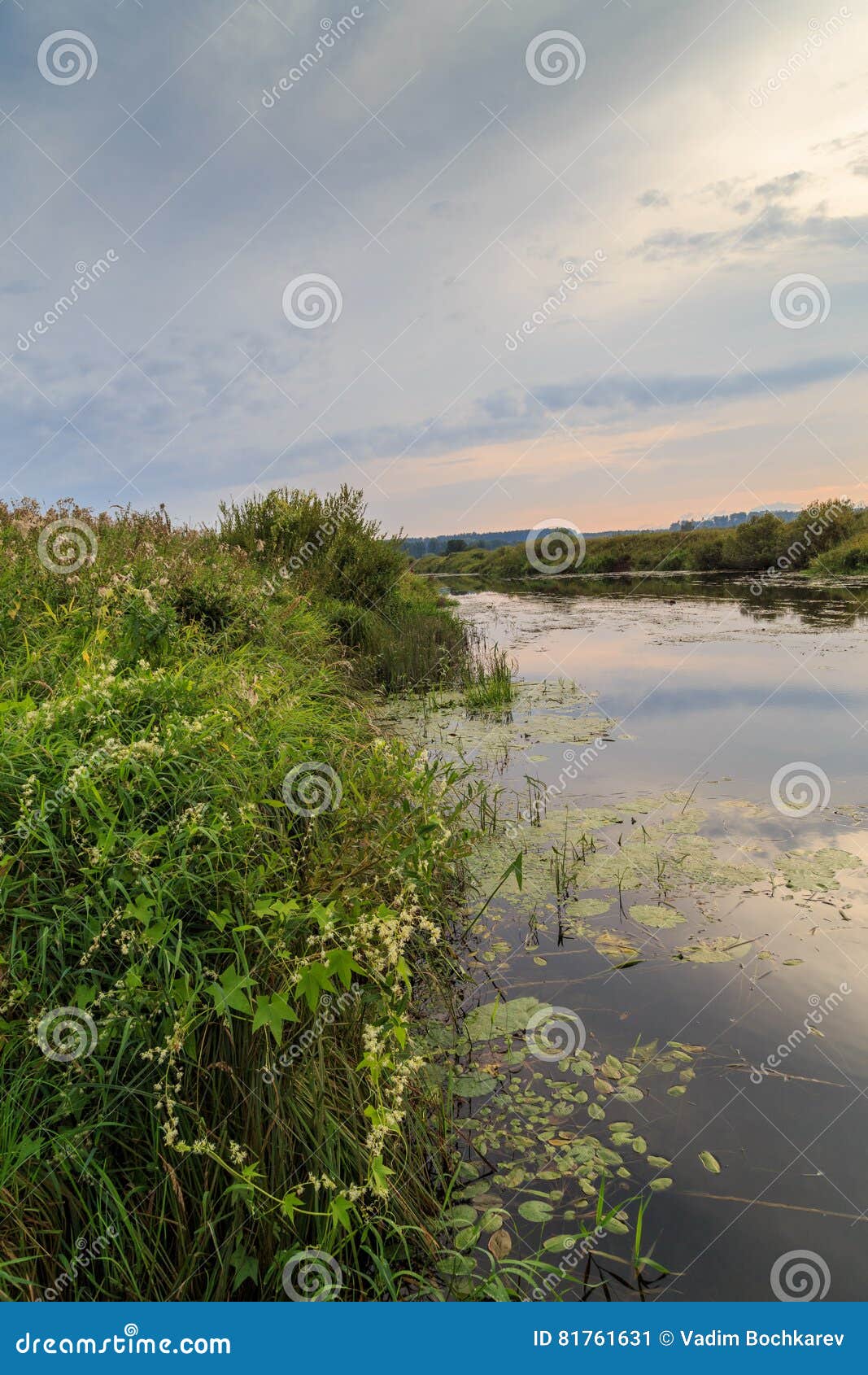 River bank at sunset stock image. Image of scenic, grass - 81761631