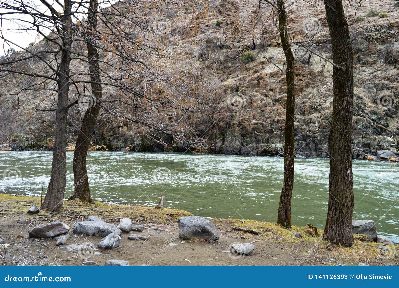 River bank and trees stock image. Image of nature, river - 141126393