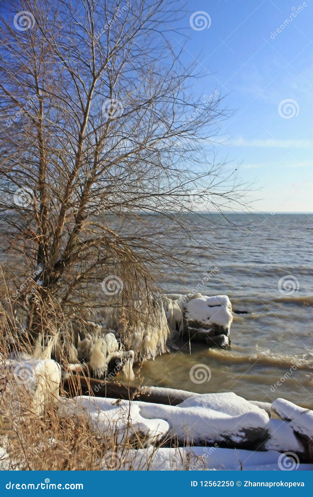 River bank in the winter. stock photo. Image of winter - 12562250