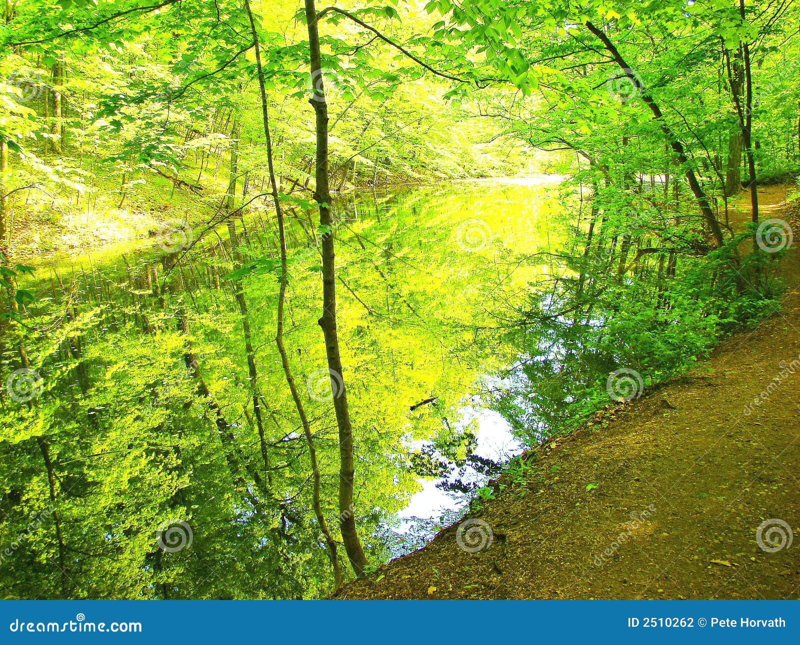 River Banks stock photo. Image of water, light, forest - 2510262