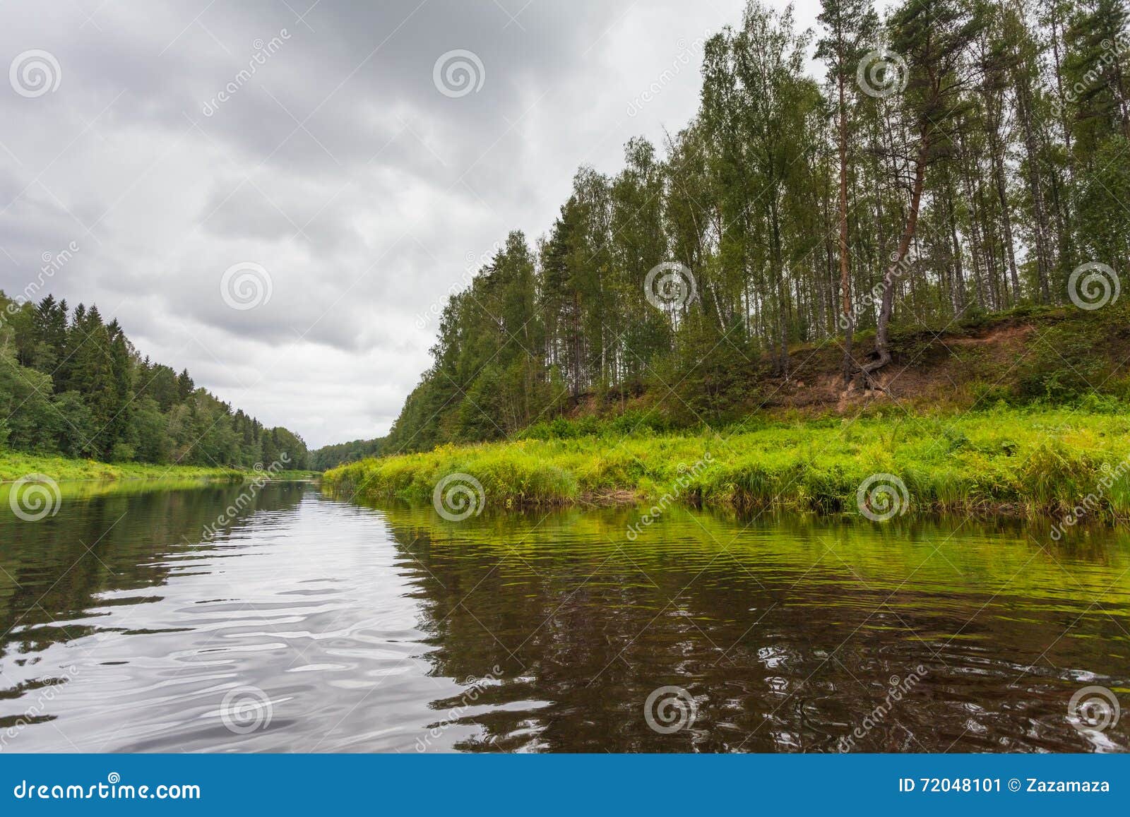 The River and Banks with Trees on Both Sides Stock Image - Image of ...