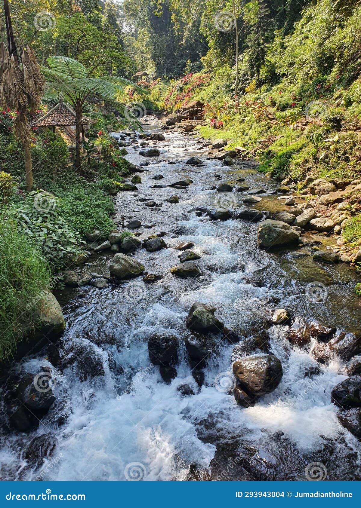 River Banyuwangi KaliBendo is Beutyfull East Java Stock Photo - Image of banyuwangi, east: 293943004