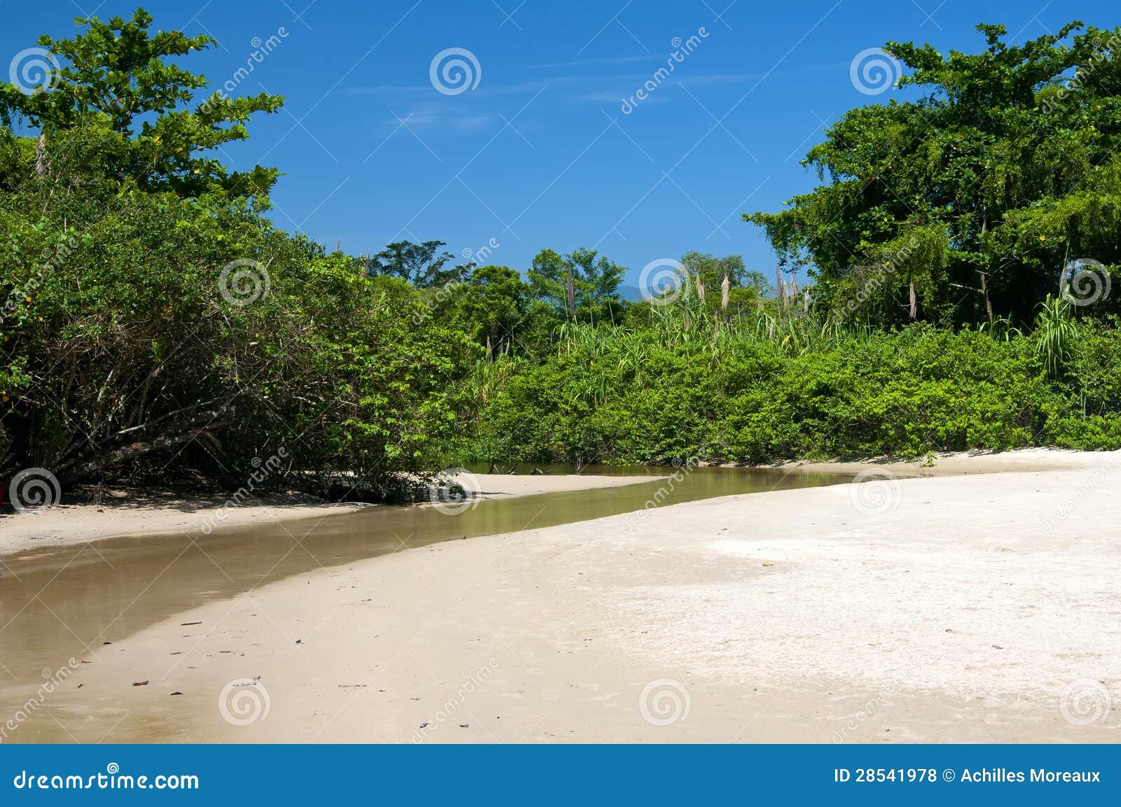 RIver in the Beach stock photo. Image of paradise, vegetation - 28541978