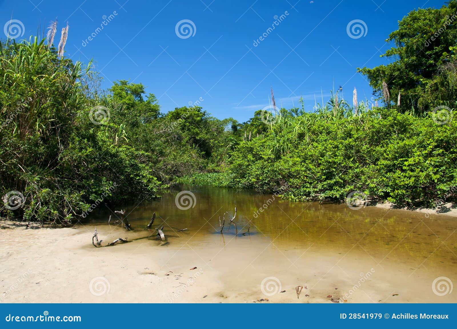 RIver in the Beach stock image. Image of fishing, shore - 28541979