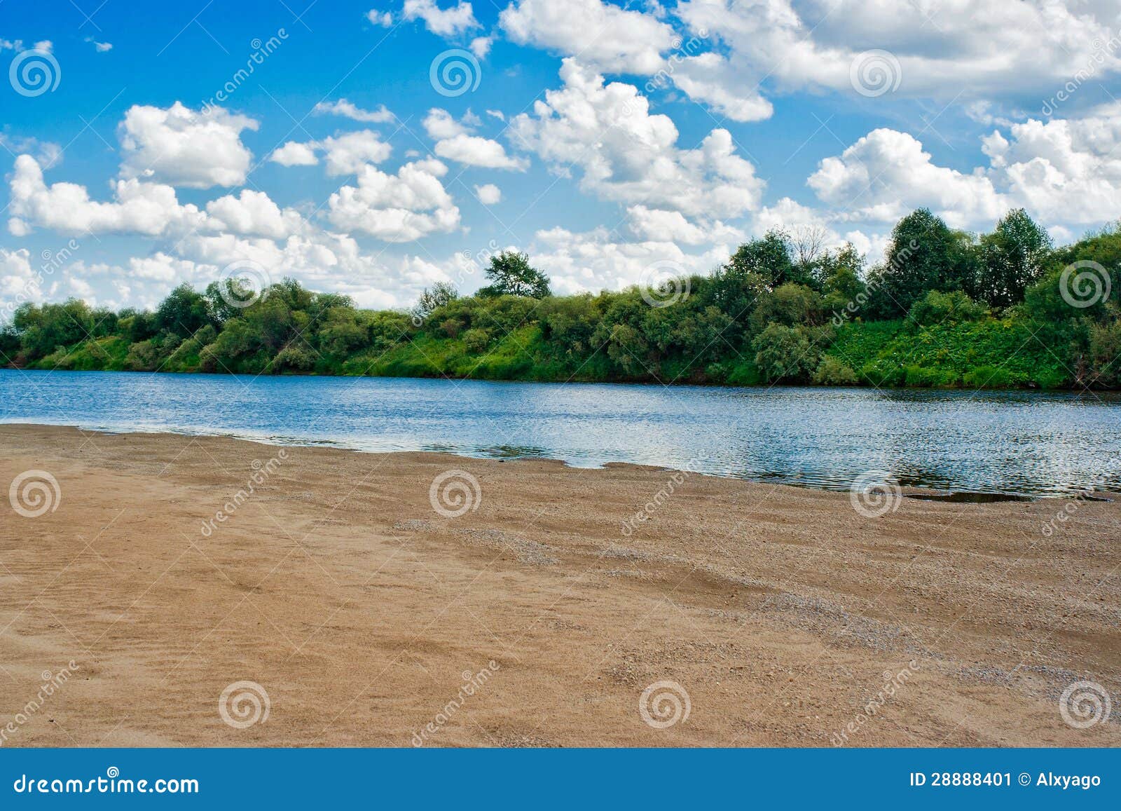 River beach stock image. Image of foliage, water, bush - 28888401
